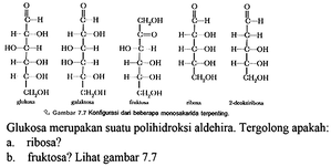 glukosa galaktosa fruktosa ribosa 2-deoksiribosa Gambar ...