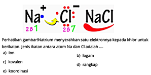 28 Na^+ 28 Cl^- nacl Perhatikan gambar ! Natrium menyera...